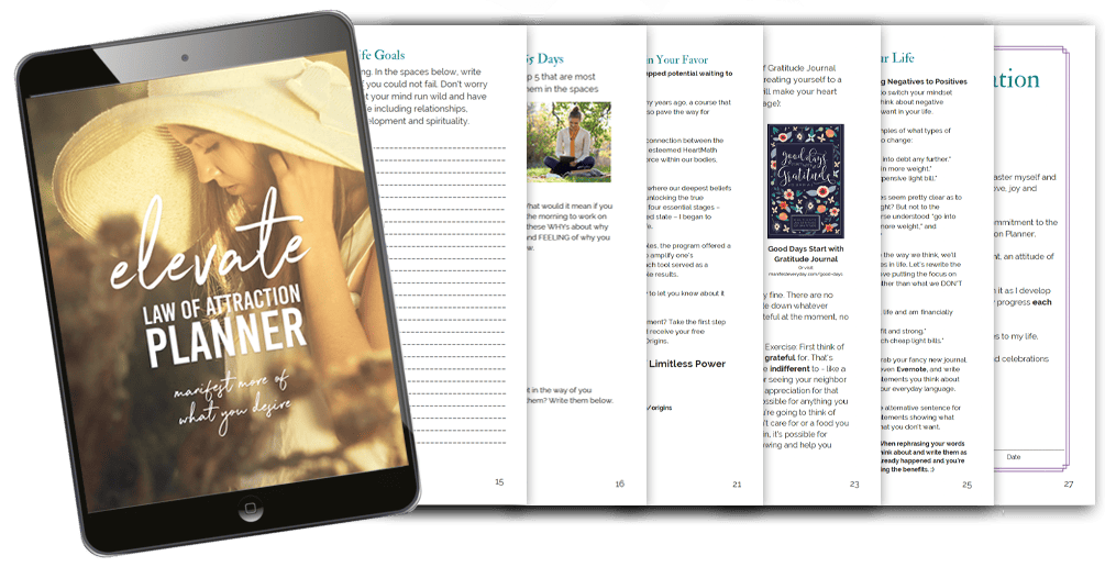 Elevate Law Of Attraction Planner Manifest Everyday
