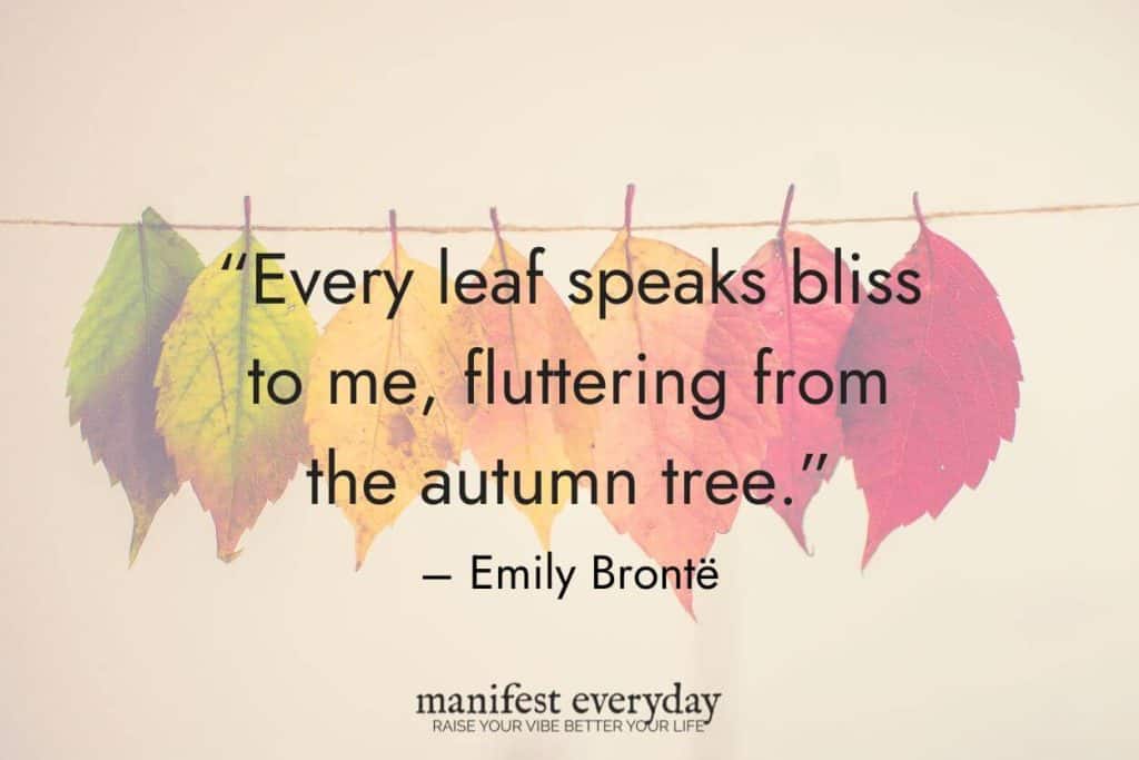 10 Cozy Autumn Self-Care Ideas to Brighten Your Days (Even in Minnesota ...