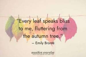 10 Cozy Autumn Self-Care Ideas to Brighten Your Days (Even in Minnesota ...