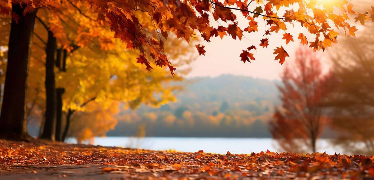 Autumn Equinox 2024: A Comprehensive Guide to Fall’s Magic