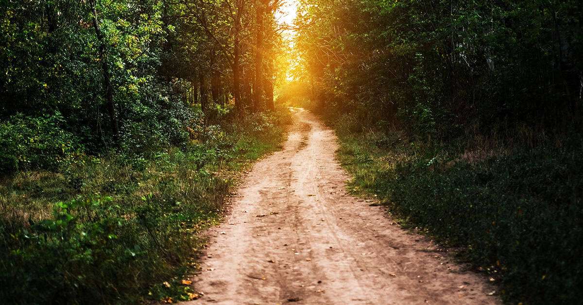 30 Spring Equinox Journal Prompts for Deep Transformation