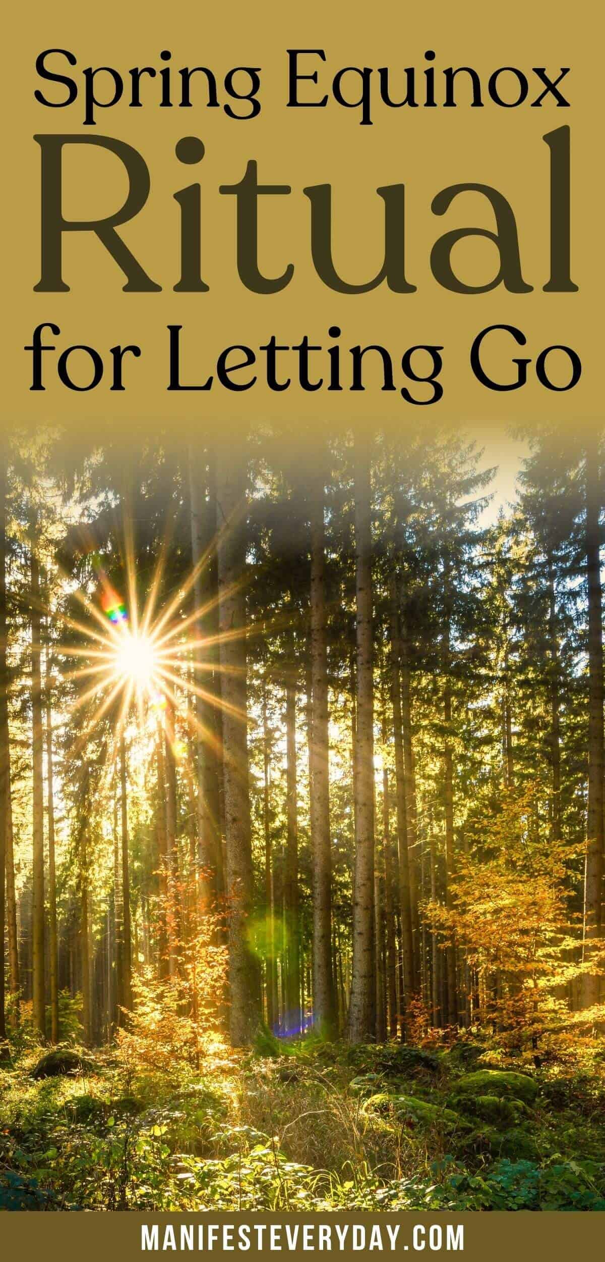 Spring Equinox 2025: A Complete Guide