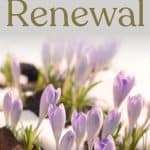 Spring Equinox 2025: A Complete Guide