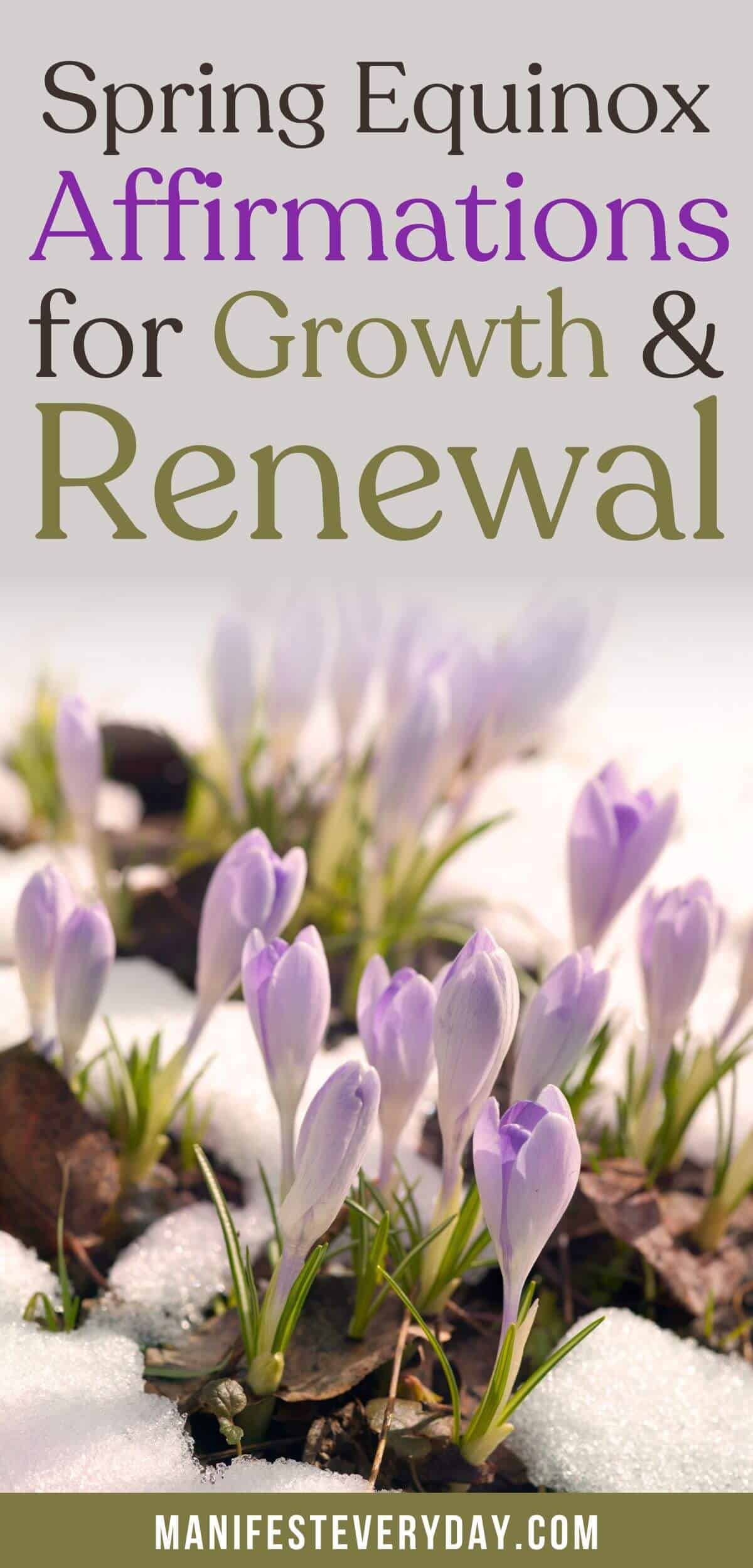 Spring Equinox 2025: A Complete Guide