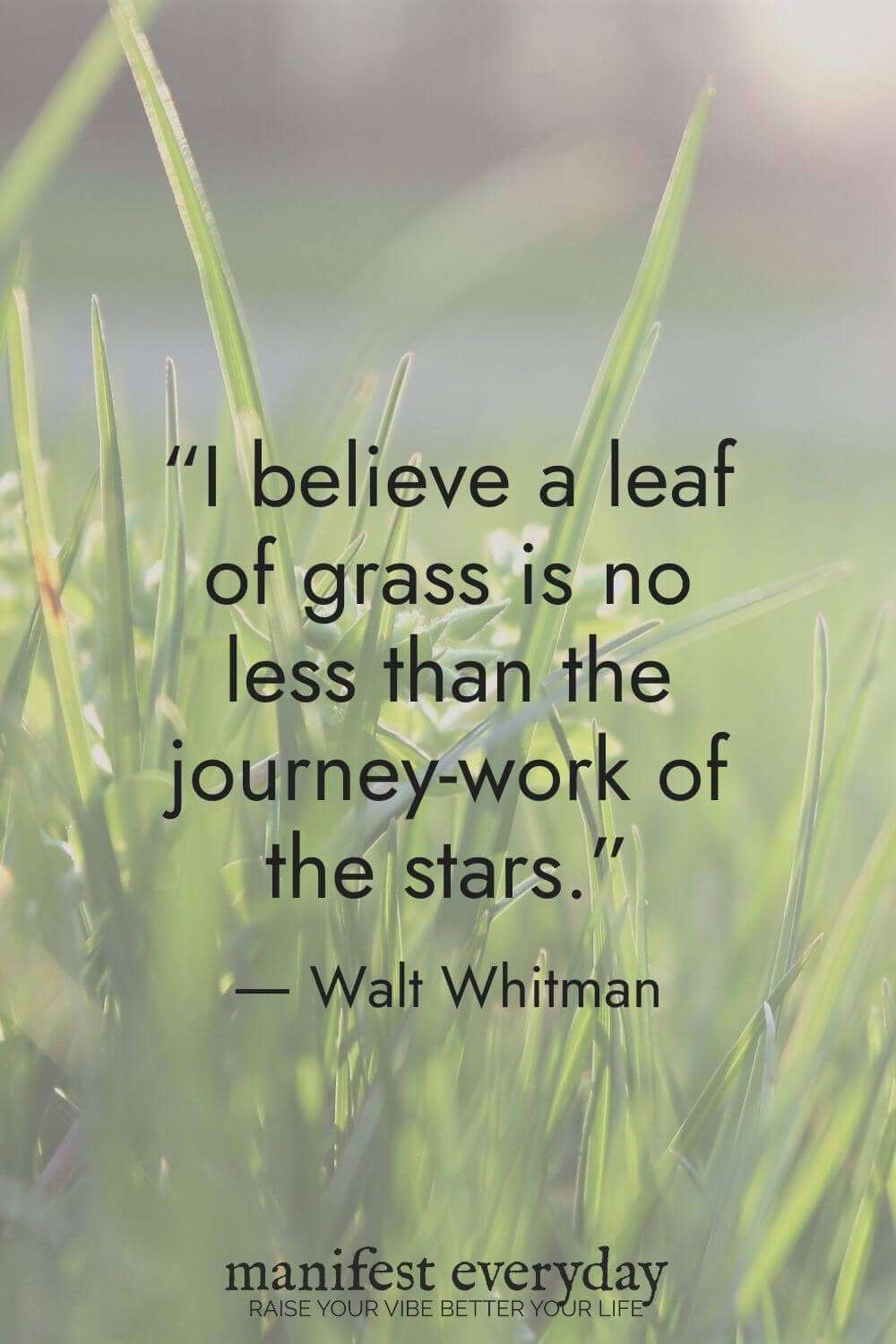 Spring Equinox Quotes: Finding Nature’s Perfect Balance